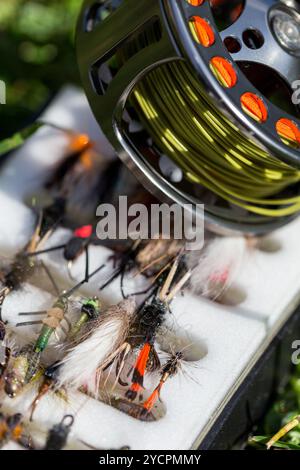 Fly fishing bugs and road with real Stock Photo - Alamy