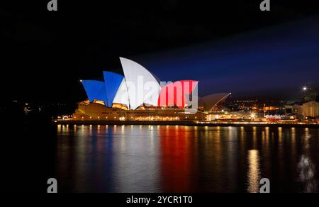 The Sydney Opera House was lit up in blue to mark the ninth annual ...