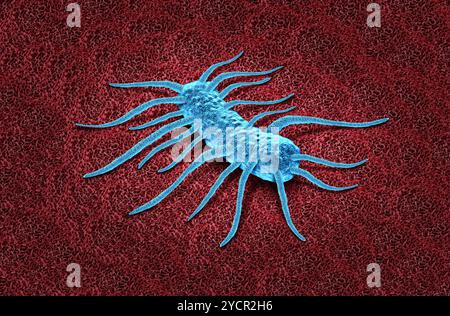 Bacteria food outbreak and bacterial infection as a microscopic ...