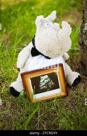 View of baby ultrasound scan and soft toy Stock Photo - Alamy