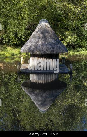 Reconstruction of an Irish Crannog at Bonane Heritage Park in County ...