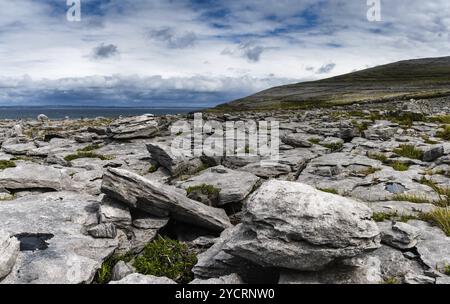 The Burren is a karst glaciokarst landscape in County Clare, on the ...