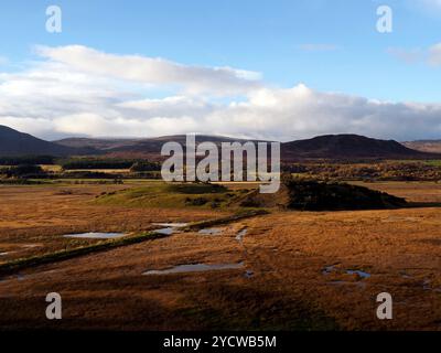 Insh Marshes Kingussie Scotland River Spey floodplain and birch trees ...