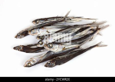 Dried flying fish Stock Photo - Alamy