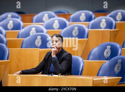 DEN HAAG - Housing and Spatial Planning Minister Mona Keijzer arrives ...