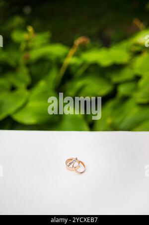 Wedding rings on rocks close-up Stock Photo - Alamy