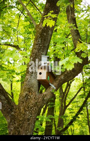 Green park in Vilnius in spring, poultry house on tree trunk Stock ...