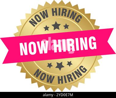 now hiring round pink label isolated on transparent background. now ...