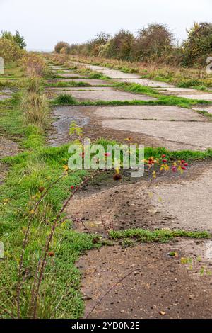 The remains of the concrete runway of the Second World War airfield of ...