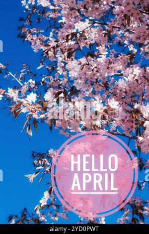 Hello April month text font calligraphy hand written lettering script ...