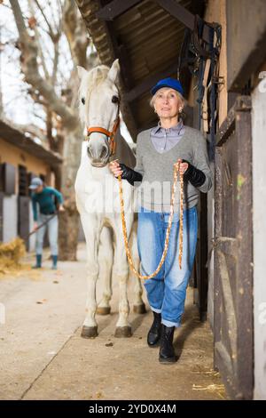 Backyard of the stables on typical autumn day - horse walking and ...
