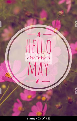 Banner Hello May. Greeting the new month. Picture with flowers. Text on ...
