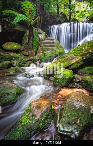 Tranquil waterfall cascading through lush green woodland with ferns and ...