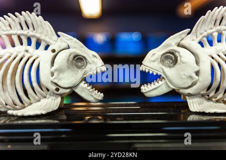 Fish skeleton plastic figurines Stock Photo - Alamy