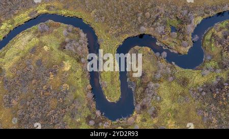 River bend, meander, drone shot, aerial view, wetland, bog in autumn ...