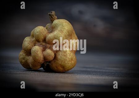 Deformed, malformed or atypical fruit, Pear in studio Stock Photo - Alamy