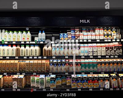 Toronto Canada / Fresh milk displayed at Pusateri's flagship Grocery ...