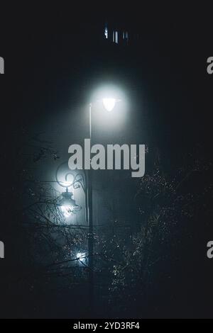 lanterns of the night city in fog in winter, city illumination, lantern ...