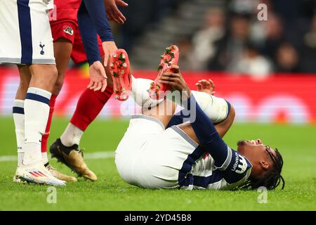 Wilson Odobert of Tottenham Hotspur goes down injured during the ...