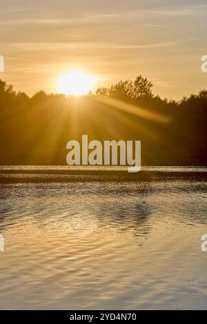 abstract landscape with the setting sun among trees out of focus Stock ...