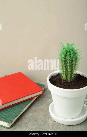 Mock up smart phone, cactus, notebook and glasses on two tone brown and ...