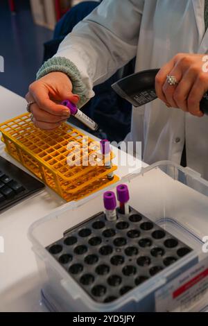 A laboratory technician scanning a blood sample into a analysis machine ...