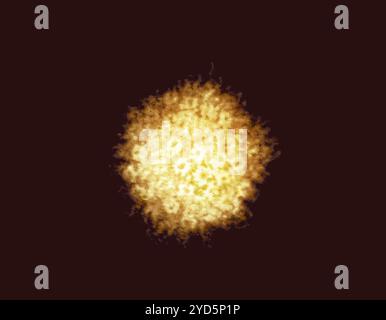 Herpes simplex virus (HSV-2, DNA virus) in cellular vacuoles and ...