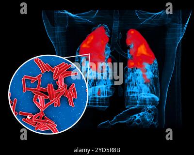 Scanning electron microscope image of lung trachea epithelium Stock Photo - Alamy