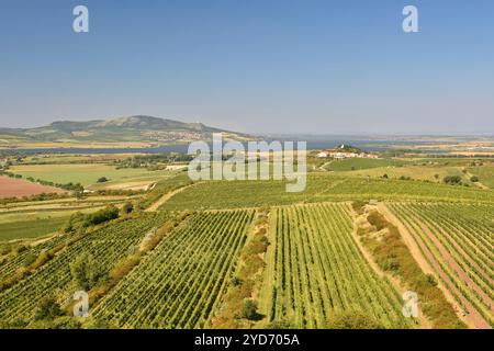 Vineyards under Palava region. Czech Republic - South Moravian Region ...