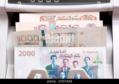 Algerian dinar in a counting machine Stock Photo - Alamy
