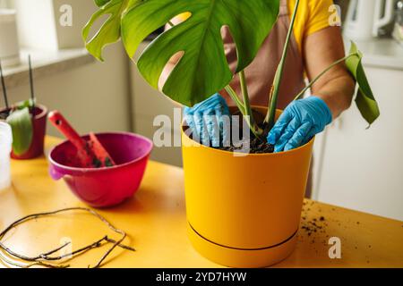 A person wearing gloves pours organic waste, including eggshells and ...