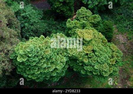 Beyond the trees, Beyond the trees Avondale,fully accessible Treetop ...