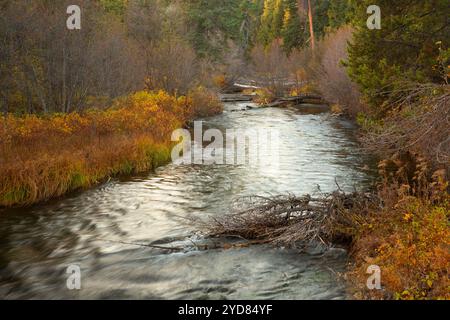 Odell Creek, Cascade Lakes National Scenic Byway, Deschutes National ...