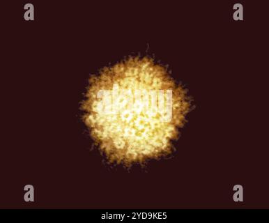 Herpes simplex virus (HSV-2, DNA virus) on and in a peripheral blood ...