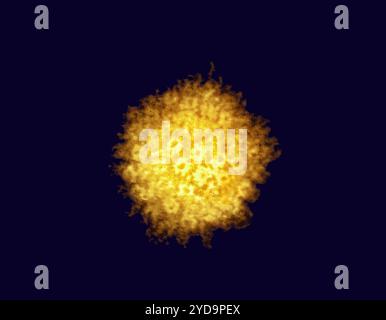 Herpes simplex virus (HSV-2, DNA virus) in cellular vacuoles and ...