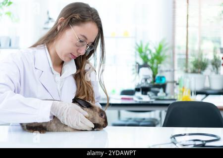 Veterinarian treating sick rabbits He is giving the young bunnies the ...
