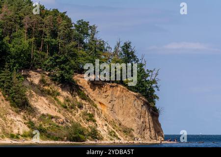 Cliff in Gdynia Orlowo, Poland. August 1st 2018 © Wojciech Strozyk ...
