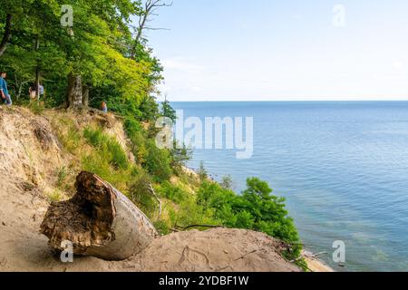 Cliff in Gdynia Orlowo, Poland. August 1st 2018 © Wojciech Strozyk ...