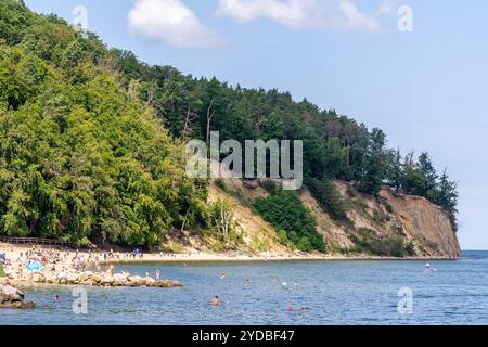 Cliff in Gdynia Orlowo, Poland. June 24th 2018 © Wojciech Strozyk ...