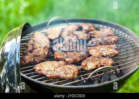 Grilling pork meat with barbecue stuff. Horizontal close up shot with a ...