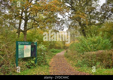 Autumnal foliage at Howe Park Wood in Milton Keynes Stock Photo - Alamy