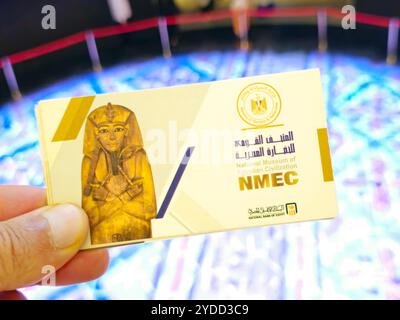 Cairo, Egypt, October 6 2024: The Ticket of The National Museum of ...