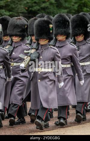 Welsh Guards, Birdcage Walk, London, UK Stock Photo - Alamy
