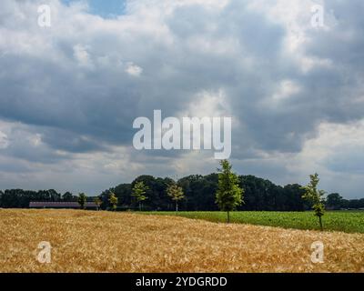 Hiking at reken in the german muensterland Stock Photo - Alamy