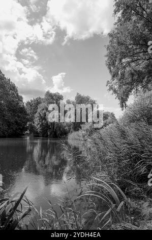 the ems river near weener in germany Stock Photo - Alamy