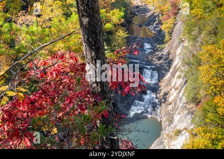 Waterfall into deep gorge with fall foliage, forest, and stone arched ...