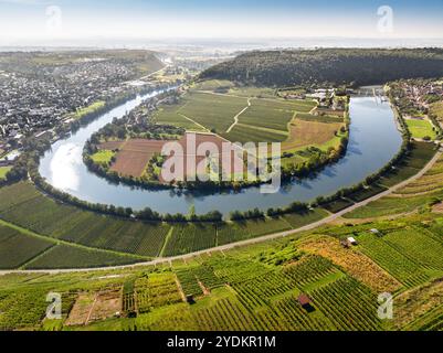 Vineyards and Neckar river bend in autumn. Mundelsheim, Baden ...