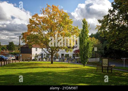 The village of Addington in Kent England UK Stock Photo - Alamy