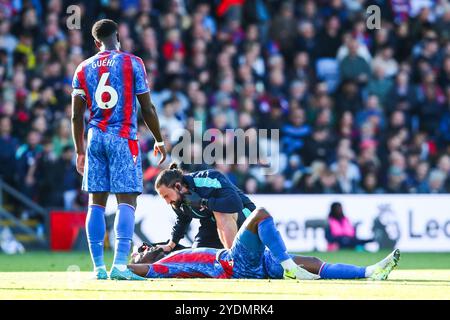 Jefferson Lerma Of Crystal Palace goes down injured during the ...