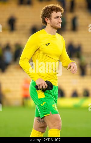 Josh Sargent of Norwich City looks on during the Sky Bet Championship ...